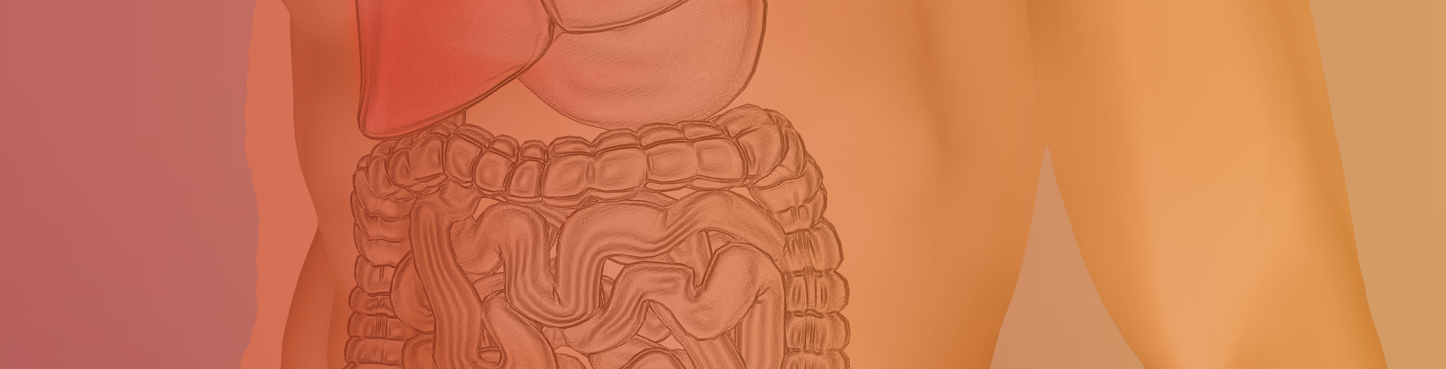 Constipation & Bowel Movement - Functional Health Network Functional ...